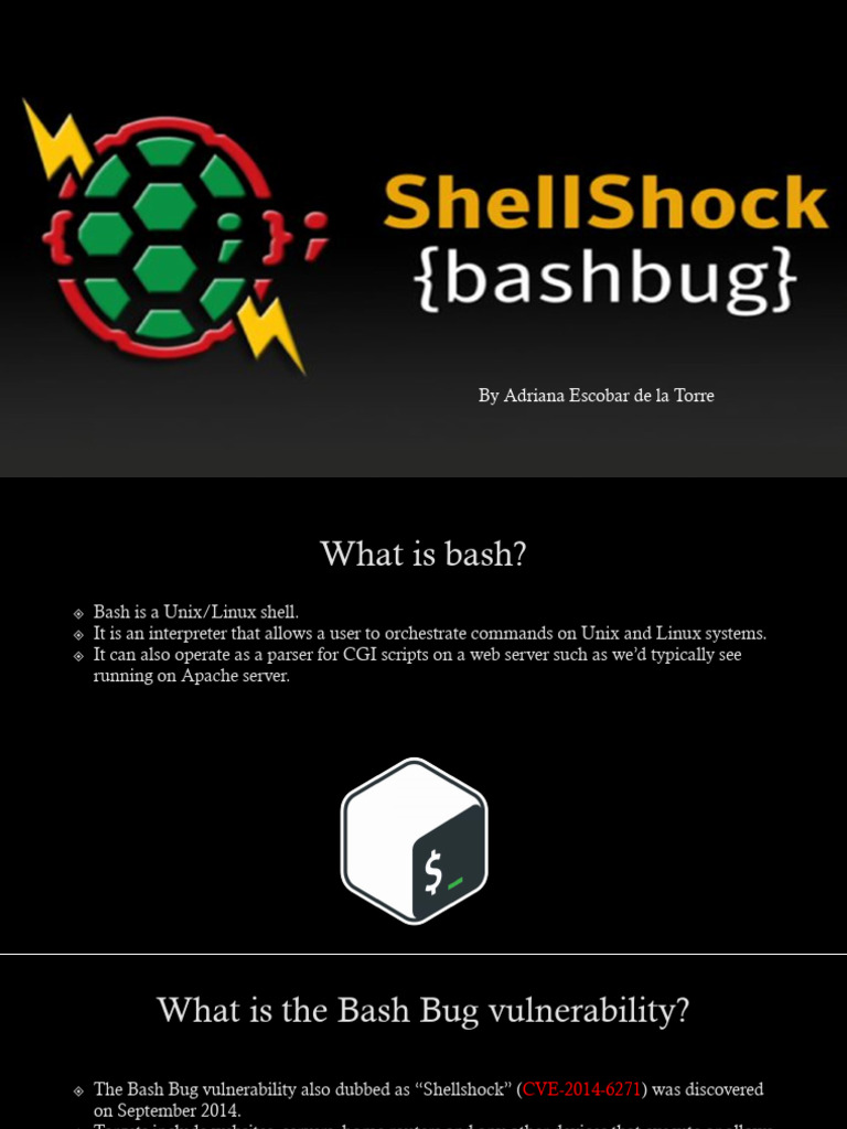 Bash Bug Presentation | PDF | Cybercrime | Cyberwarfare