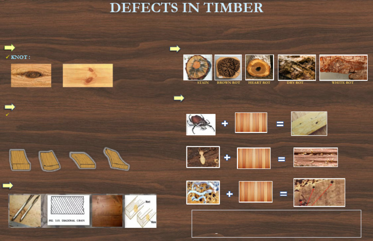 Defects in Timber | PDF