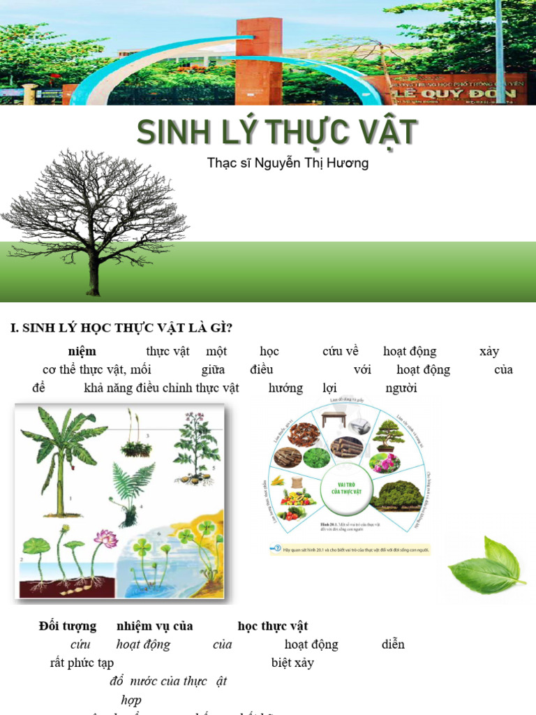 Phan Mo Dau - SLTB TV | PDF