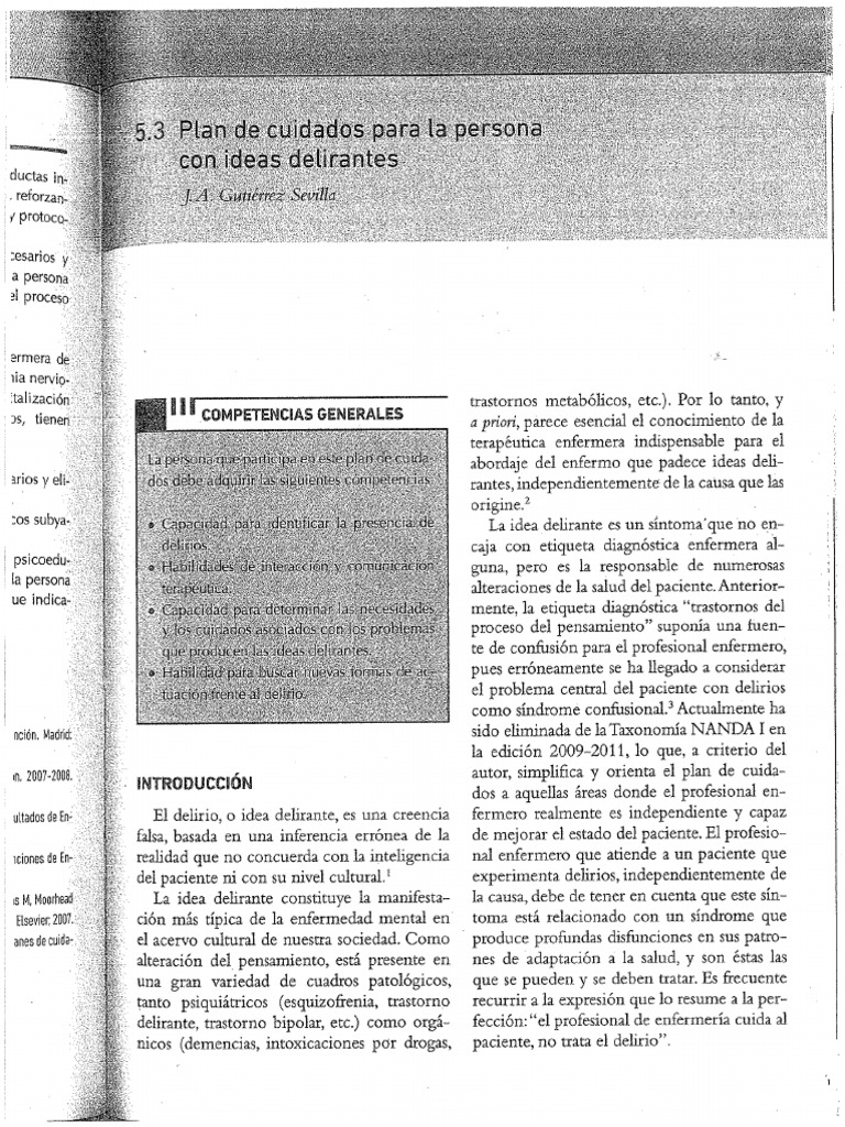 Expo Cuidado Psic Plan de Cuidados Alucinaciones-Delirios | PDF