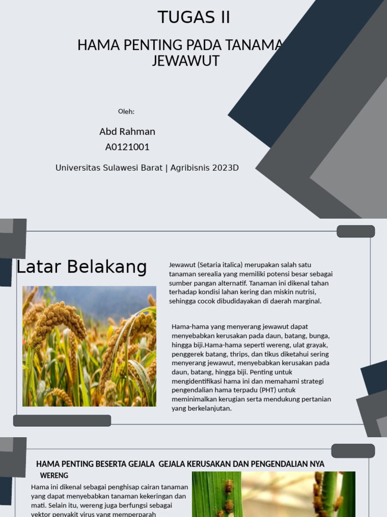 DDPT Abd Rahman - A0121001 | PDF