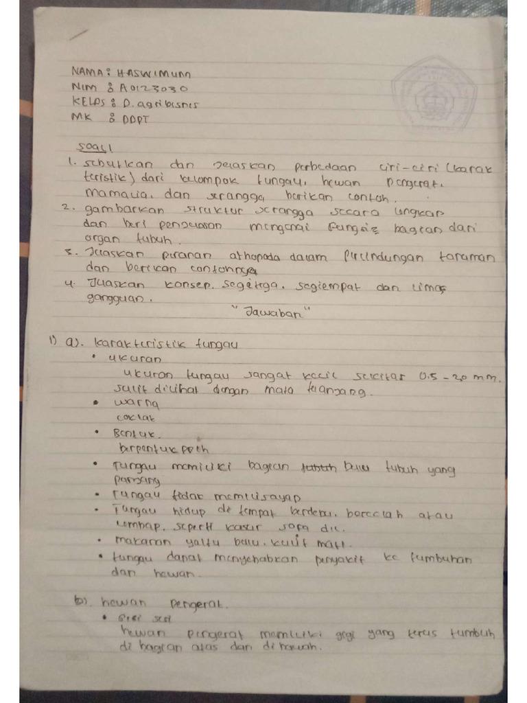 Tugas 1 DDPT Haswimum | PDF