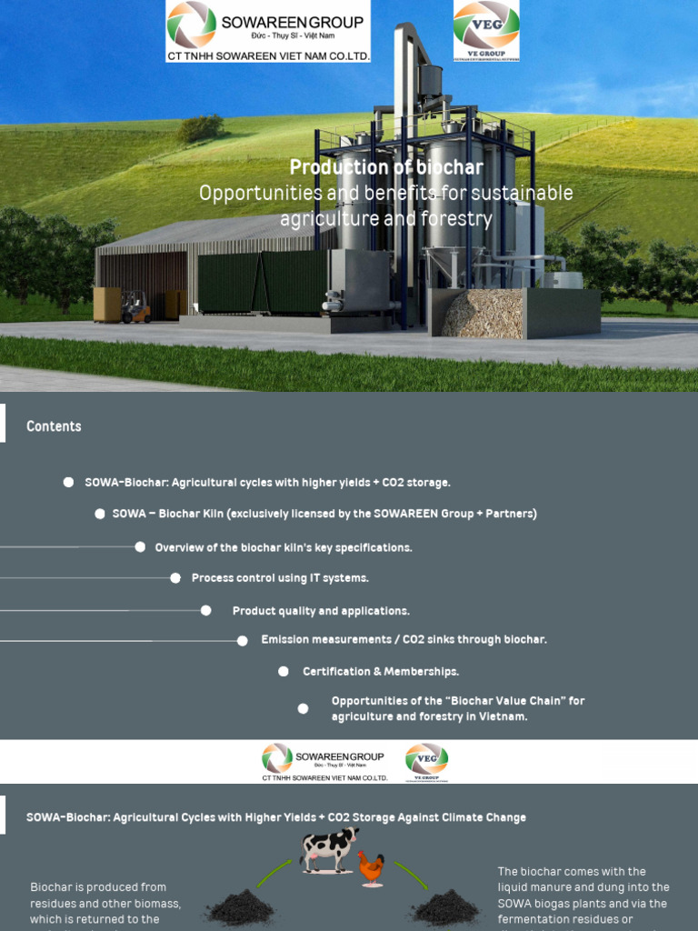 Biochar Production for Sustainable Agriculture | PDF | Soil | Carbon ...