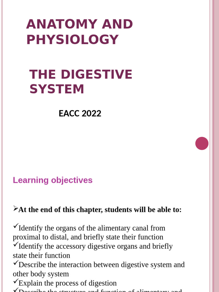 Anatomy of Digestive System Lecture's Slide | PDF | Digestion | Human ...