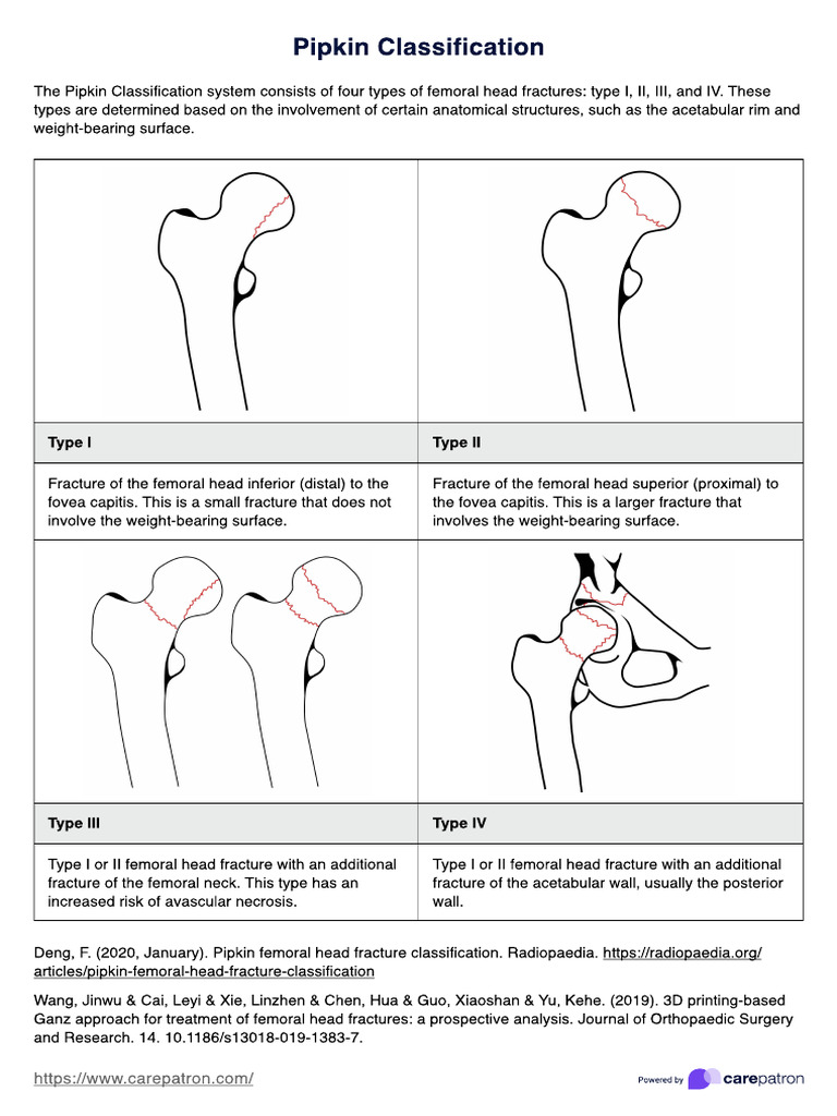 Pipkin Classification of Femoral Head Fractures | PDF