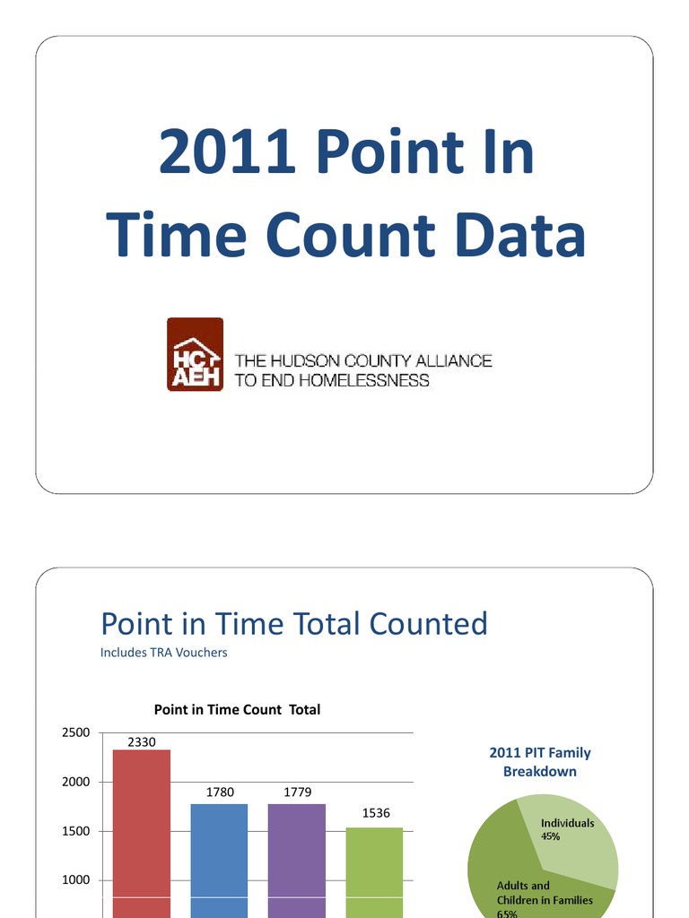 2011 Point in Time Count Data | PDF | Race And Ethnicity In The United ...