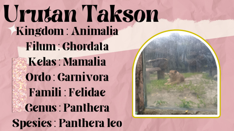 Merah Muda Dan Putih Estetik Buku Kliping Tugas Kelompok Presentasi_20241203_221003_0000 | PDF