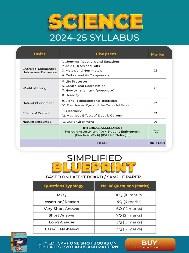 CBSE Class 10 Science Syllabus 2024-25 | PDF | Chemical Reactions ...