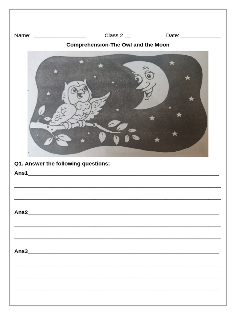 Owl and Moon Comprehension Worksheet | PDF