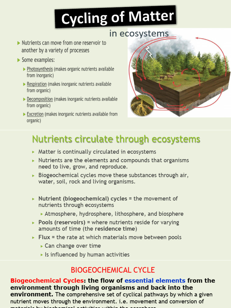 Lec 5-6 IUB - Nutrient Cycling | PDF | Sulfur | Ecosystem