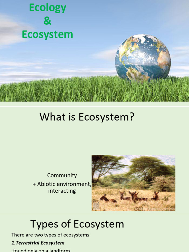 Understanding Ecosystems and Ecology | PDF | Ecosystem | Food Web