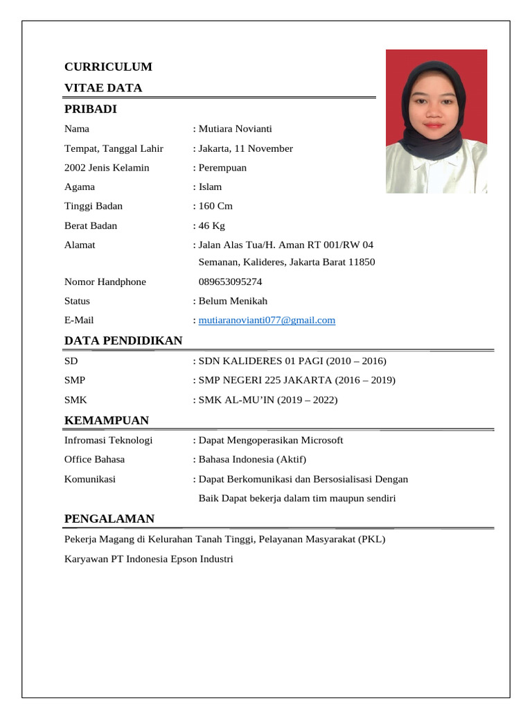 Curriculum Vitae (CV) | PDF