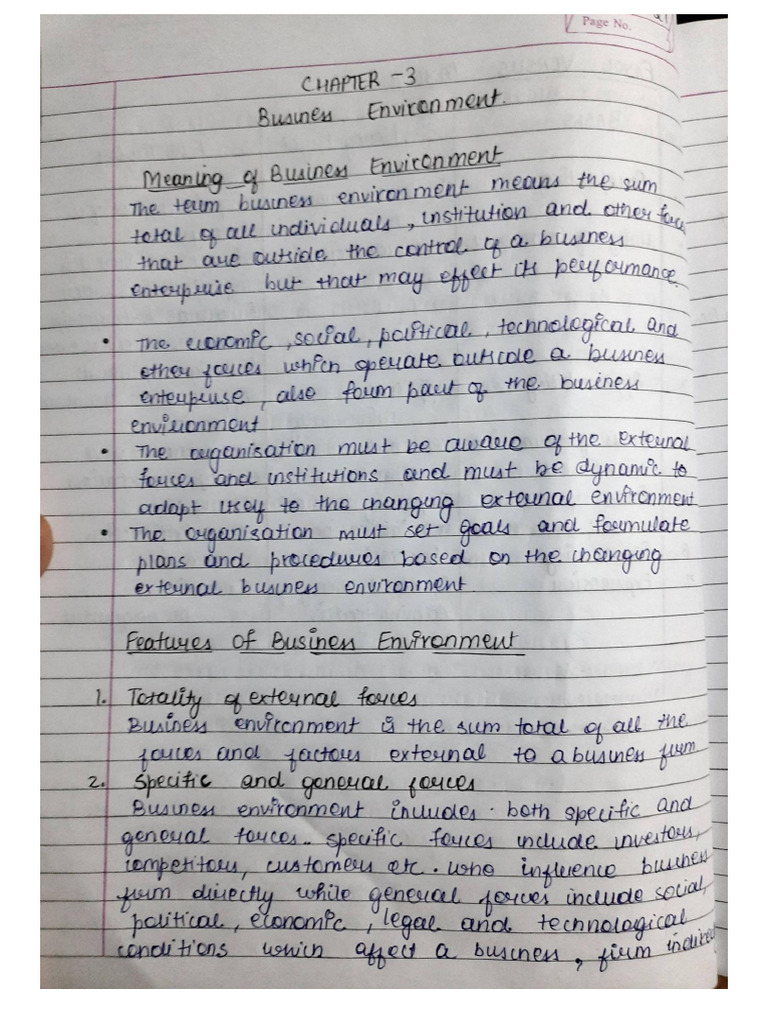 BST ch3 (Business Environment) | PDF