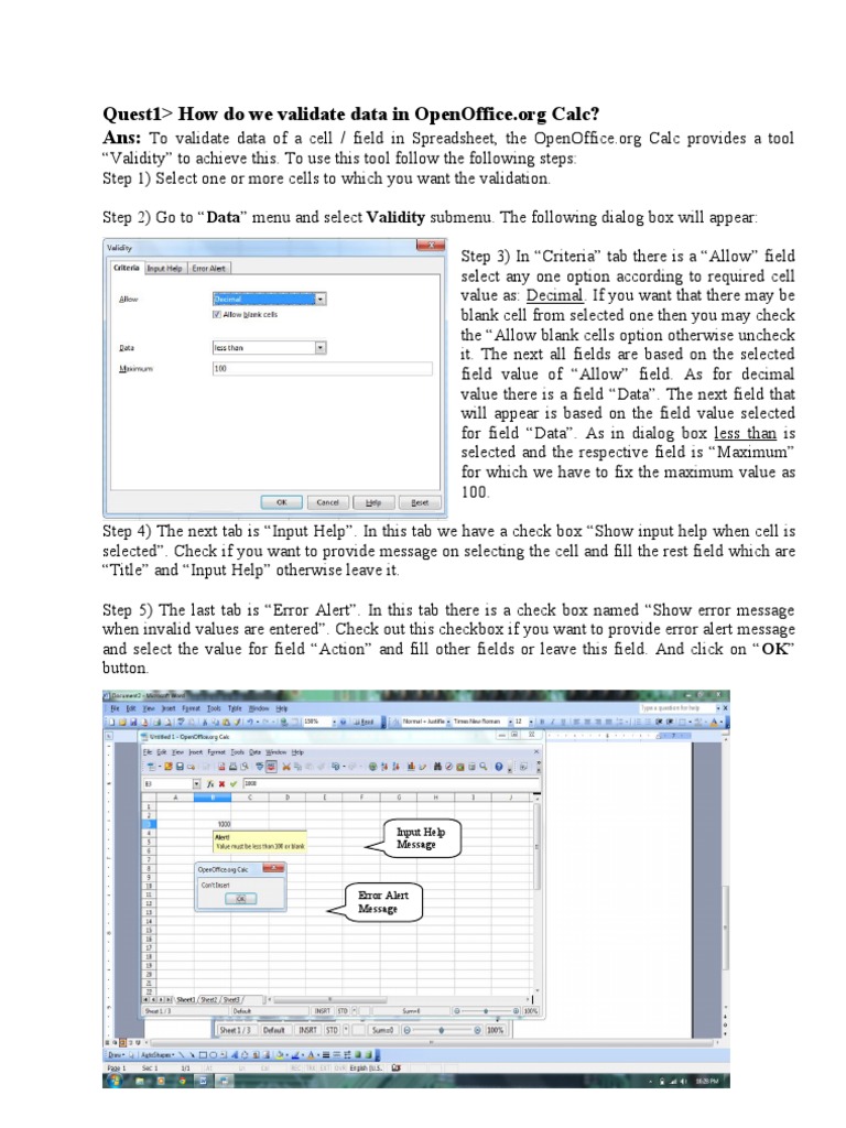 Assignment | PDF | Spreadsheet | Macro (Computer Science)