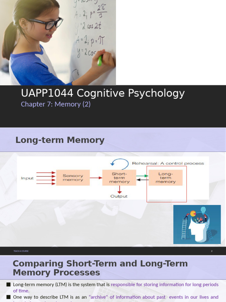 UAPP1044 Cognitive Psychology - 7 | PDF | Amnesia | Memory
