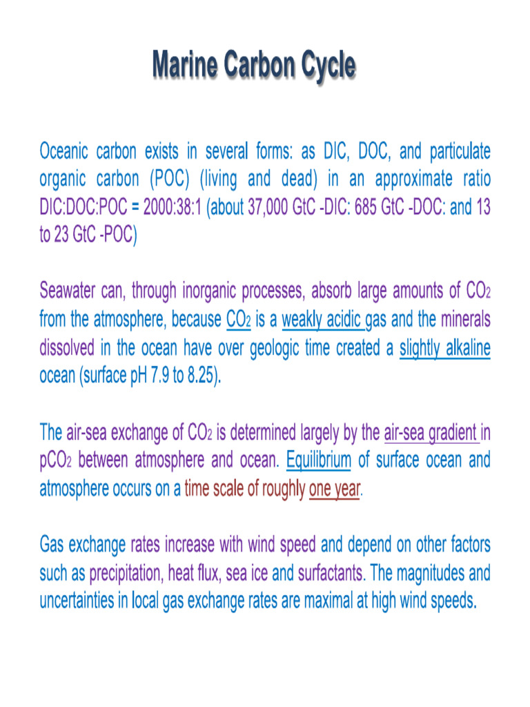 Marine Carbon Cycle | PDF