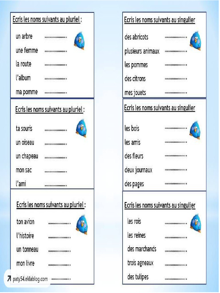 pluriel singulier 2 | PDF