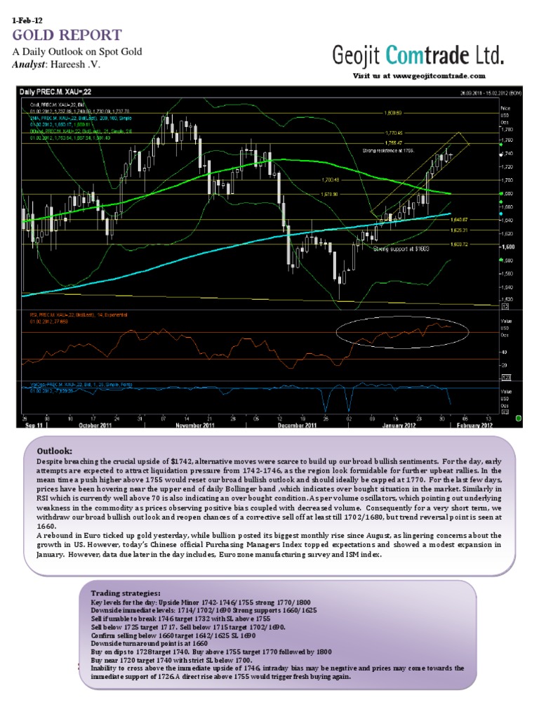 Gold Report | PDF | Euro | Investing