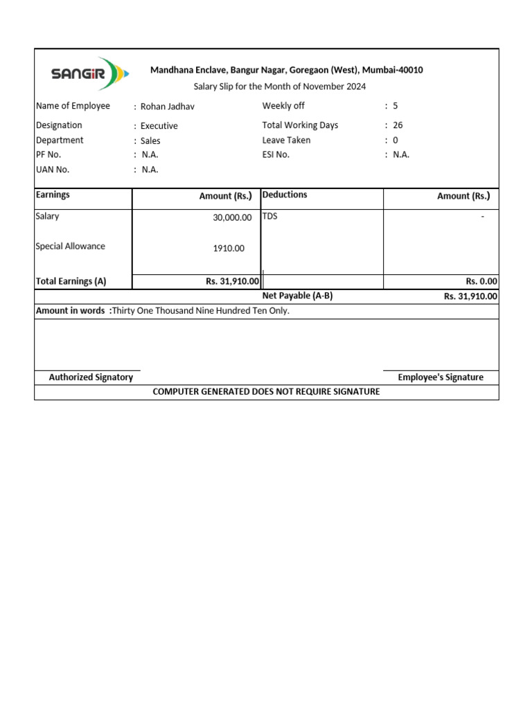 November 2024 Salary Slip Format | PDF