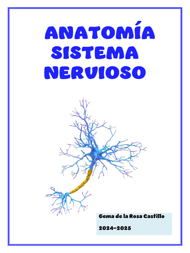 Anatomia Sns | PDF