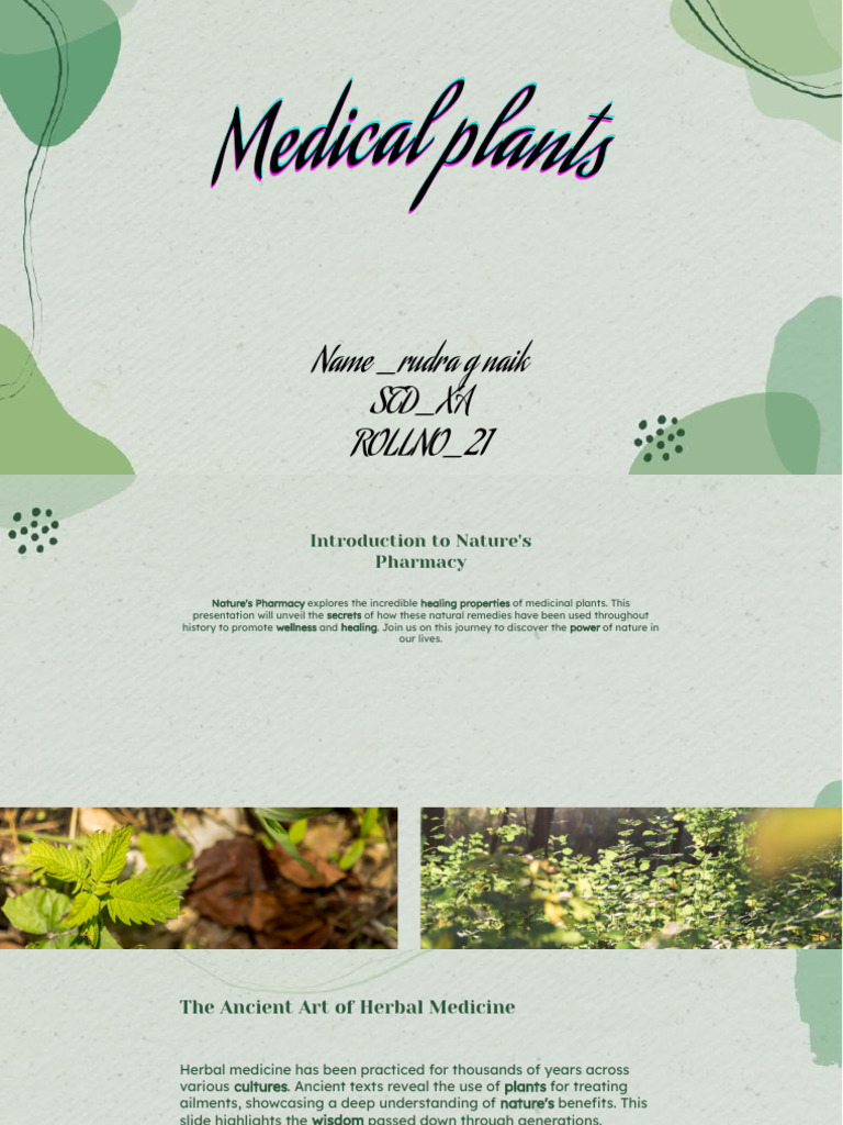 medicinal-plants | PDF | Alternative Medicine | Pharmacy