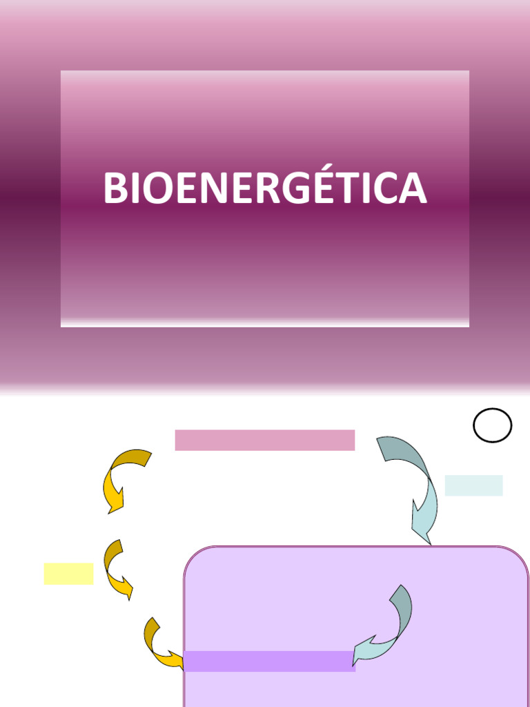 TP4 Presentación 4.1 - Bioenergética y Cinética Química | PDF ...