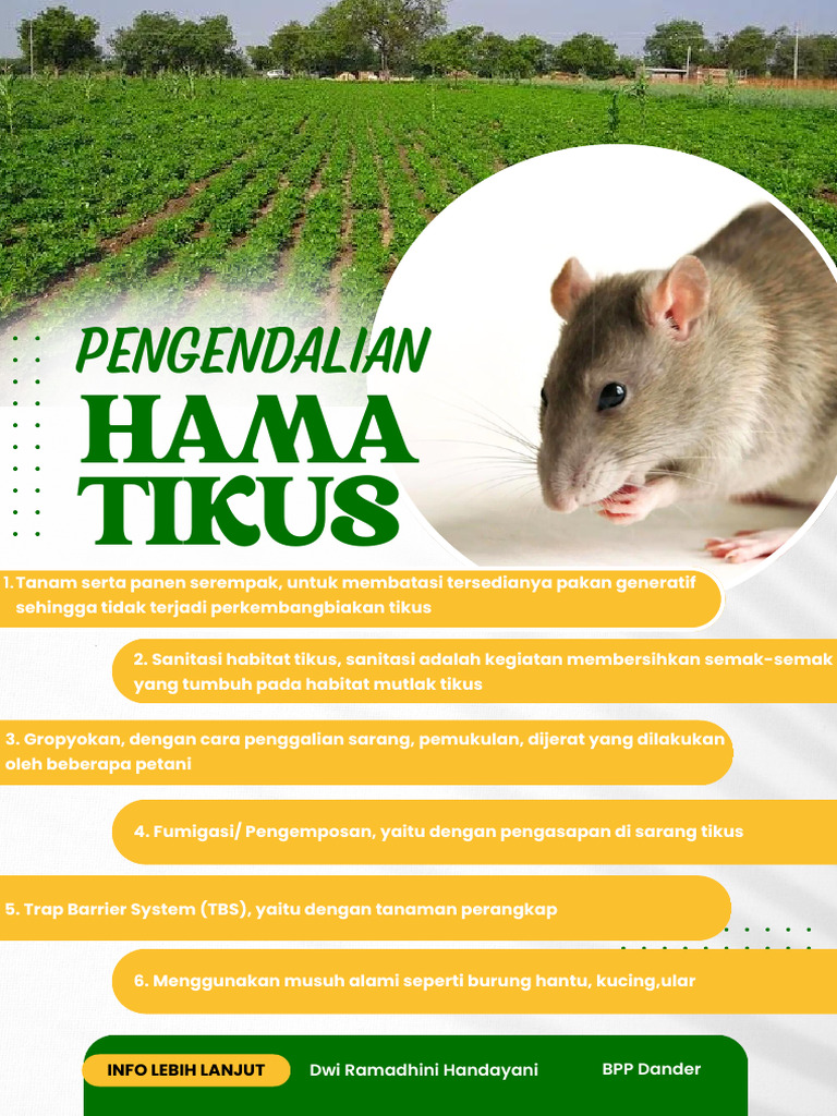 Pengendalian Hama Tikus | PDF