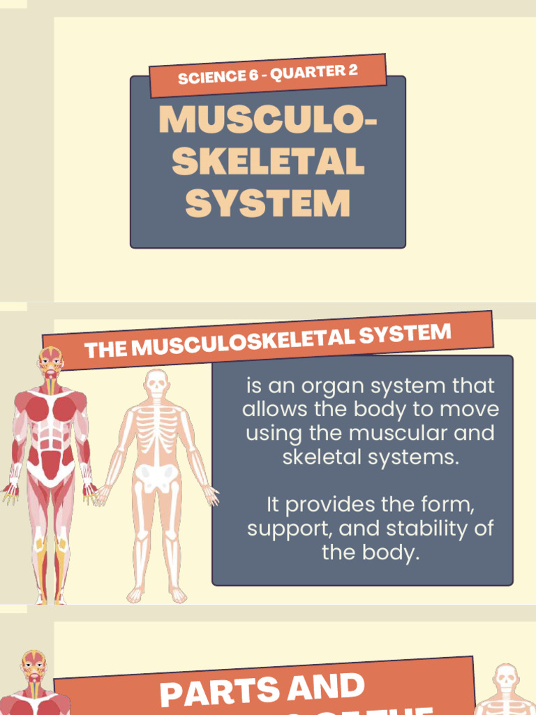Science 6 Musculoskeletal System 1 2 | PDF