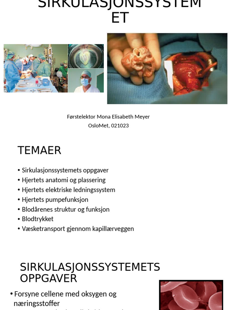 Sirkulasjonssystemet 021023a | PDF