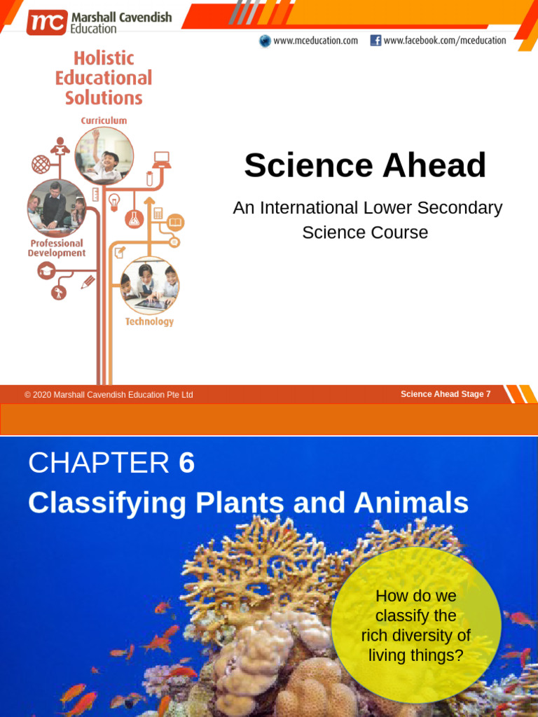 Classifying Plants and Animals | PDF | Seed | Plants