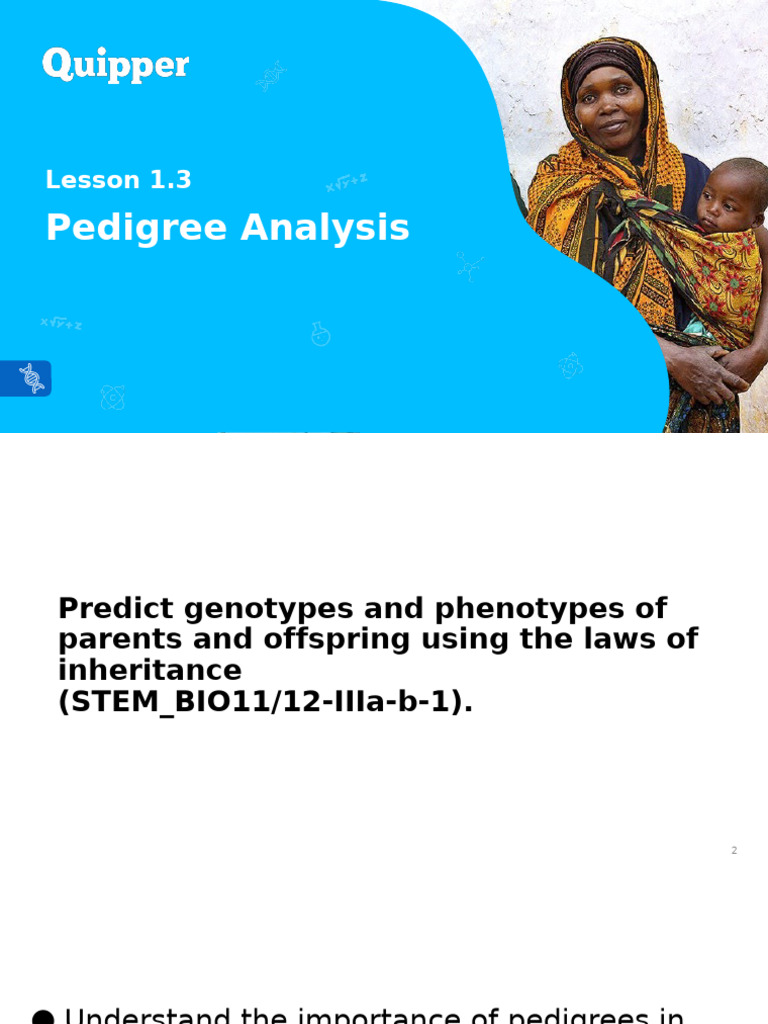 Pedigree Analysis Pdf Dominance Genetics Genotype