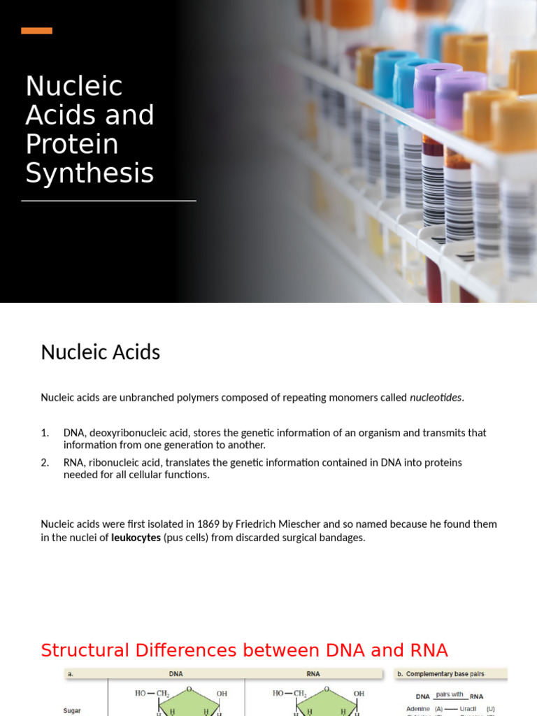 Nucleic Acids | PDF | Nucleotides | Rna