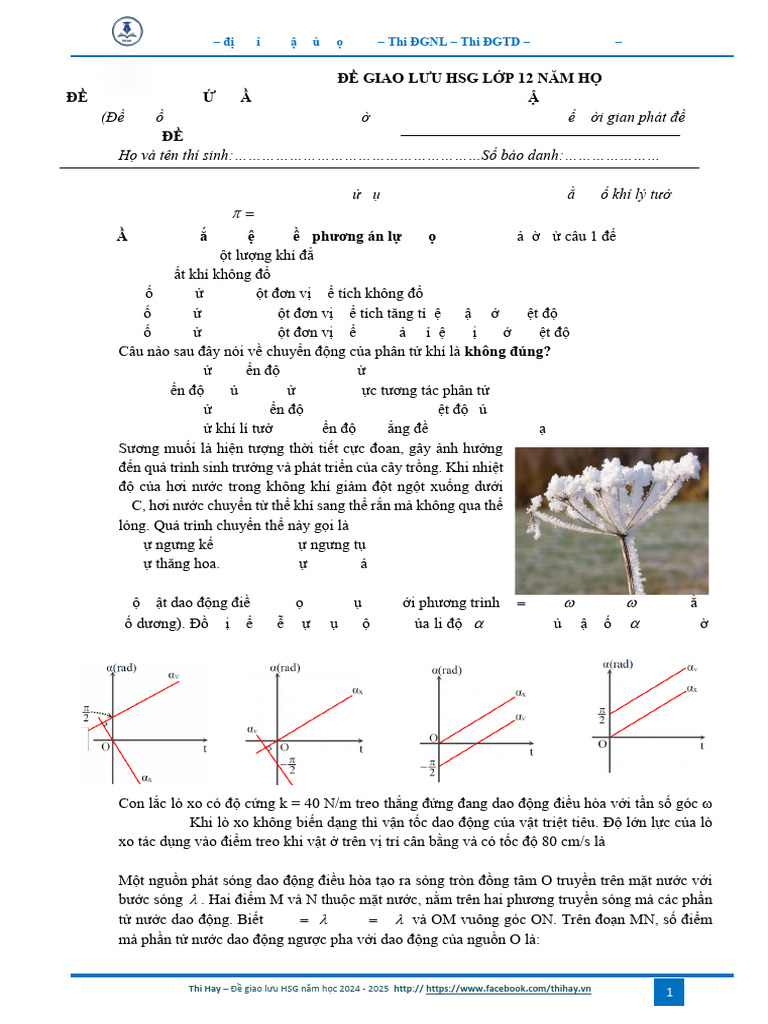 2. ĐỀ VẬT LÍ - L10 | PDF