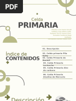 HDS Pinol | PDF | Agua | Toxicidad