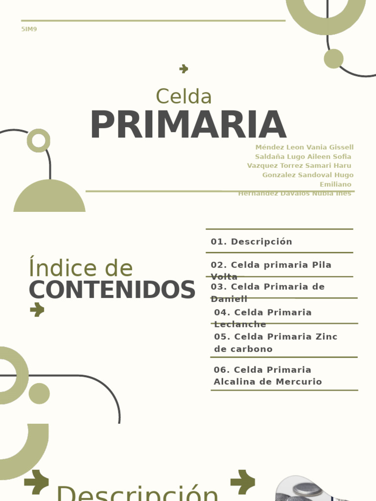 CELDA PRIMARIA | PDF | Ciencias fisicas | Materiales