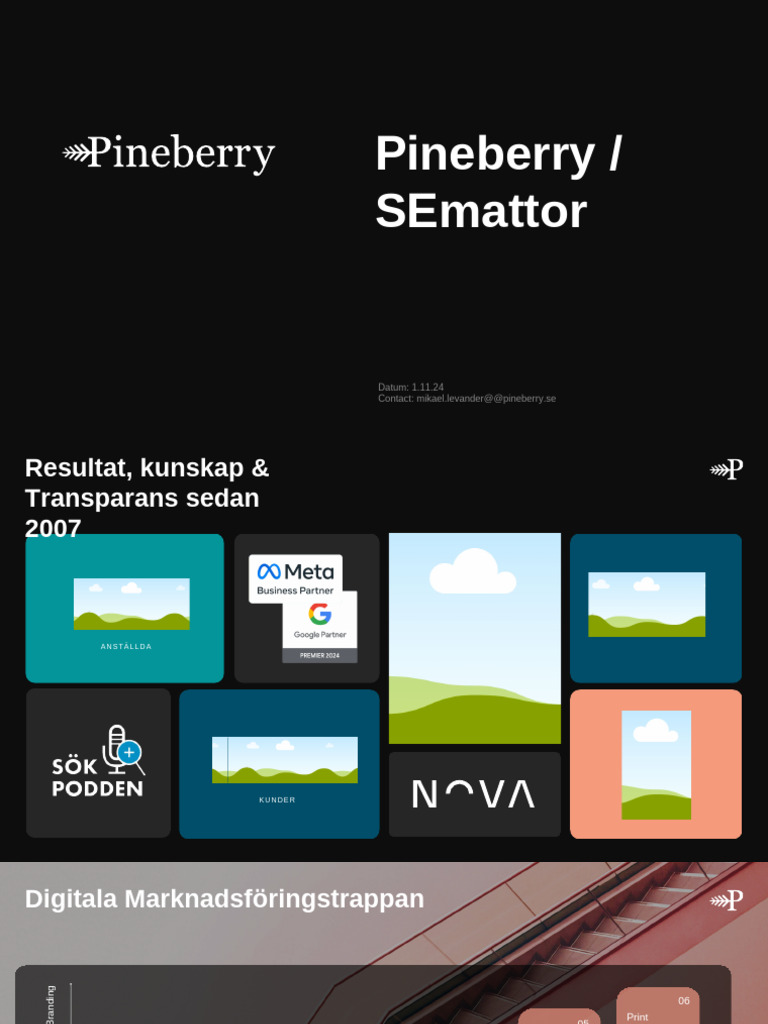 SEmattor SEO 2024 | PDF