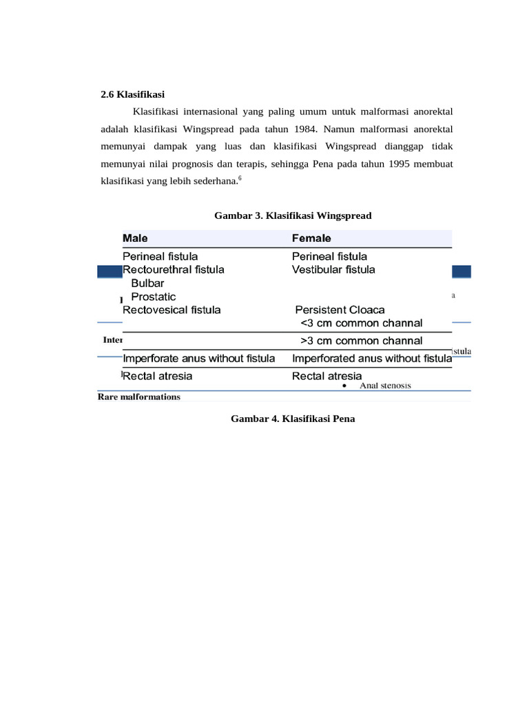 Klasifikasi Malformasi Anorektal | PDF