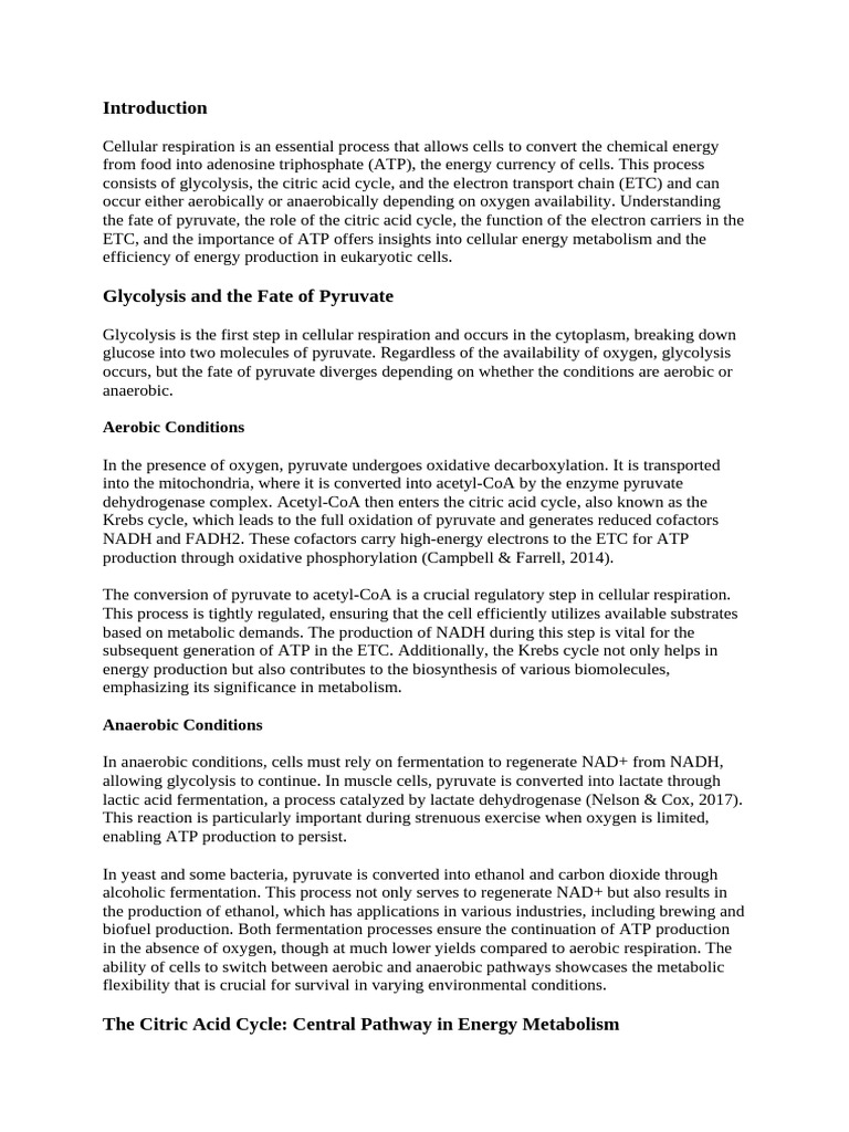 Biology Assignment 4 | PDF | Cellular Respiration | Electron Transport ...