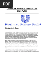 HUL Project Report 2024 25 Final | PDF