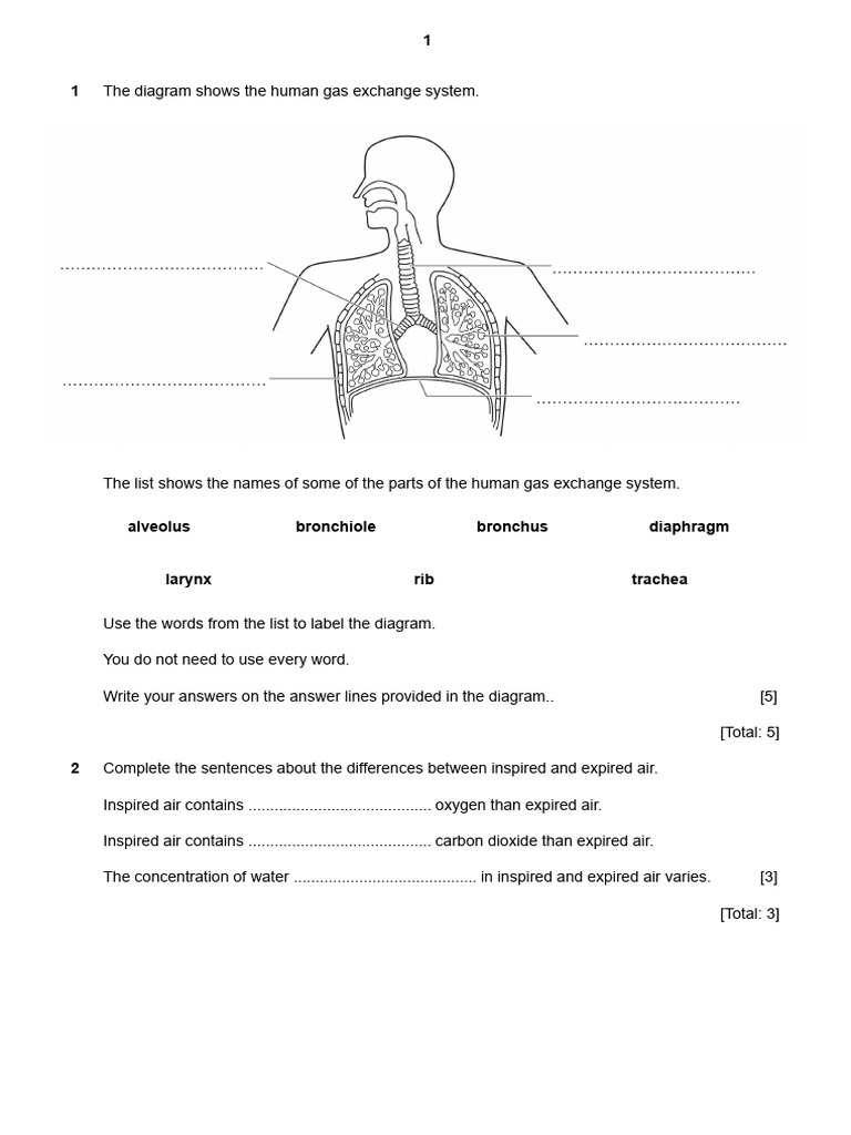 unit 1 - practice q | PDF | Cellular Respiration | Breathing