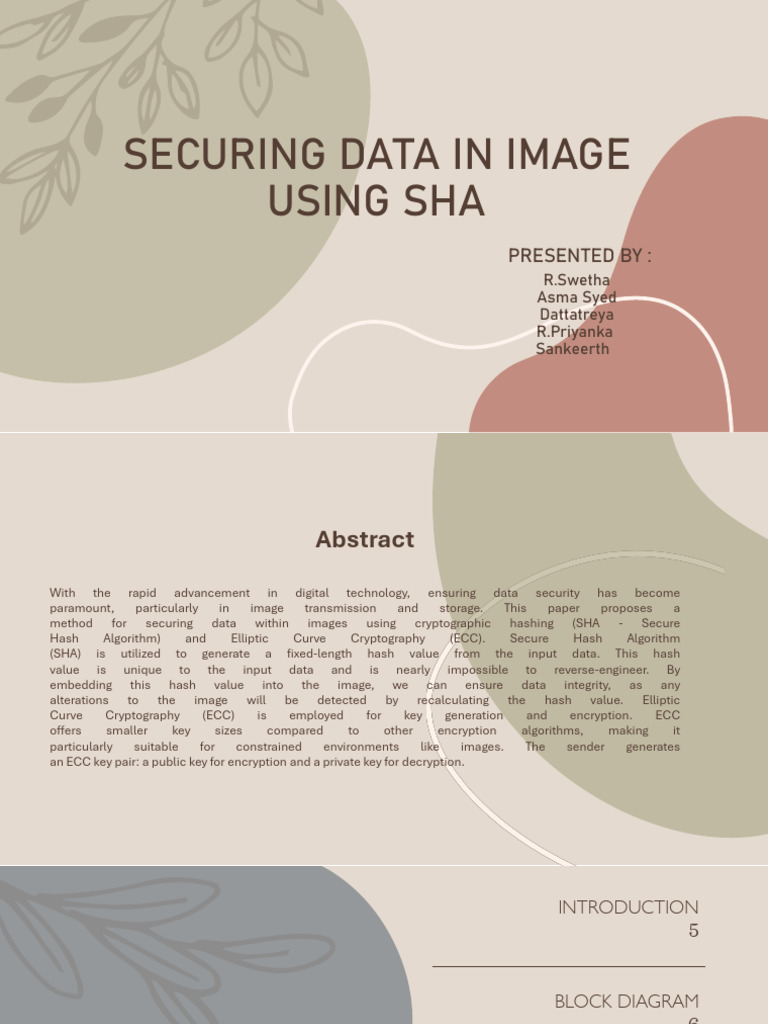 Securing Data in Image Using Sha1 | PDF | Cryptography | Encryption