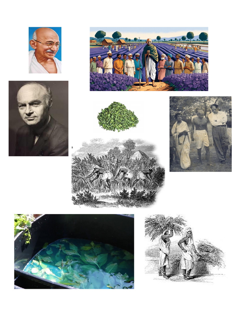 English Indigo Photocopy of Photos Project | PDF