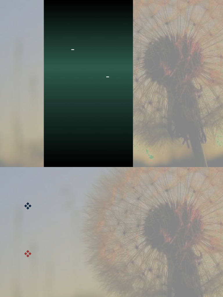 5-Fito Terapèutica Respiratori 2 | PDF