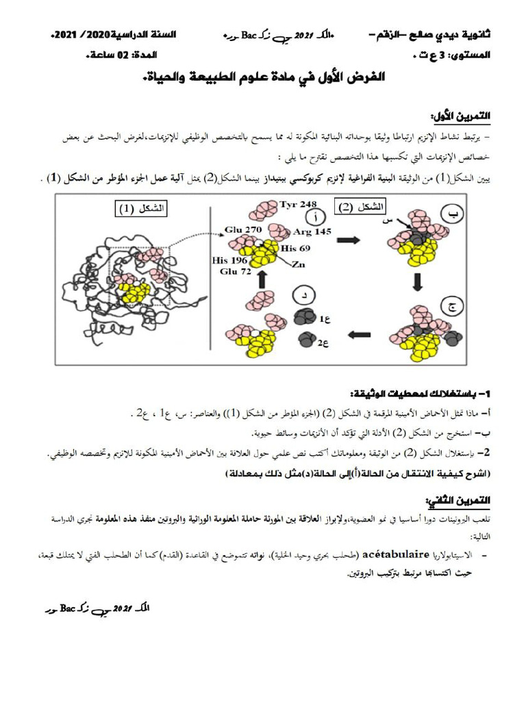 Dzexams 3as Sciences 479515 | PDF