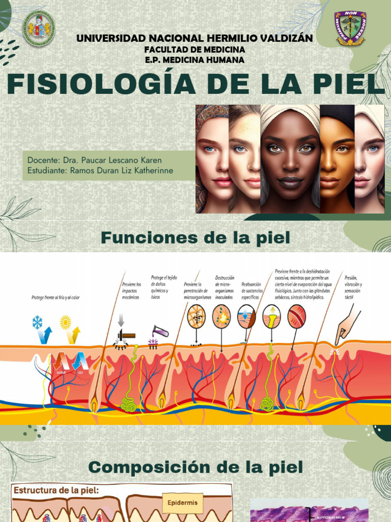 Fisiologia de La Piel - 1° Parte | PDF | Epidermis | Piel