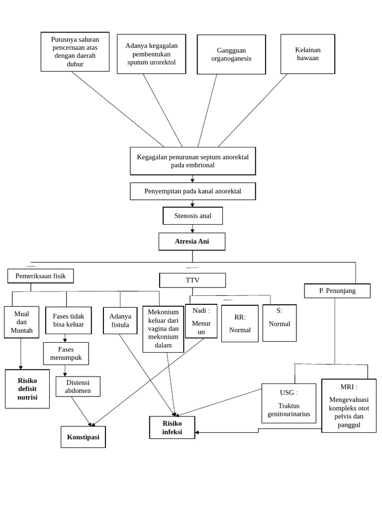 Pathway Kep Anak Kel 5 Blok 2 | PDF