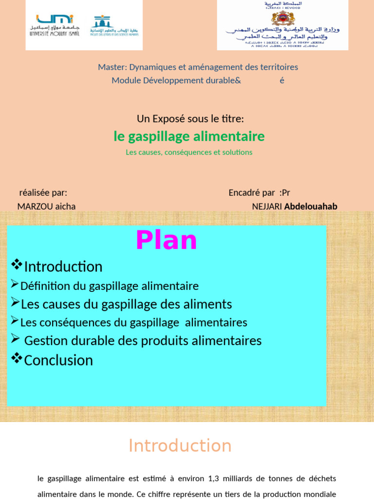Gaspillage Alimentaire : Causes et Solutions | PDF | Nourritures | Environnement naturel