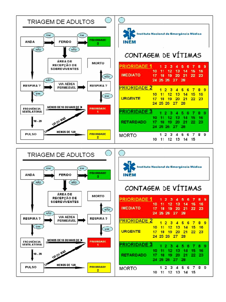 Triagem Adulto | PDF