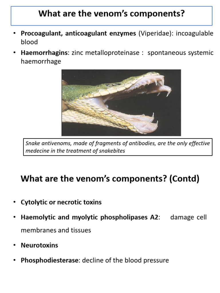 venom’s components | PDF | Diseases And Disorders | Medical Specialties