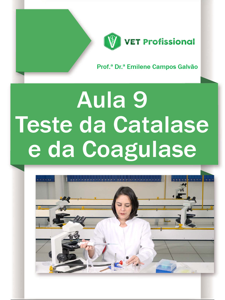 Aula 9 Teste Da Catalase e Da Coagulase | PDF | Estreptococos ...
